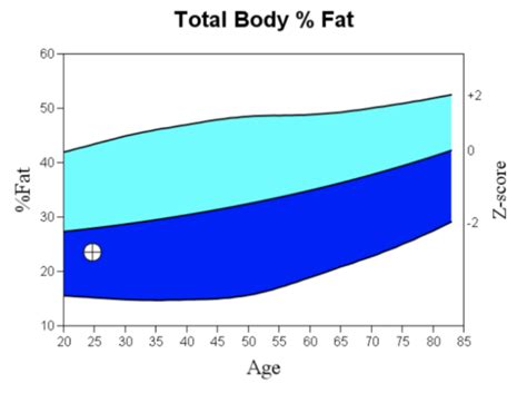 Interpreting DEXA Scan Results A Comprehensive Guide