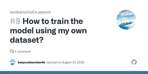 How To Train The Model Using My Own Dataset Issue Lucidrains