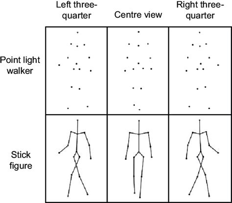 Examples Of Upright Stimuli Stimuli Shown Are At Azimuth Angles Of