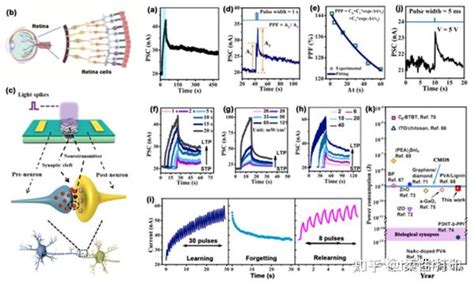 光电探测器在左，神经形态视觉传感器在右 知乎