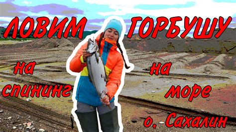 Ловля морской горбуши на побережье Сахалина. Отличный клёв Соломка и ...