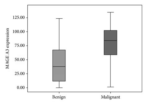 Ihc Quantitative Analysis Showing Different Staining Between Benign And