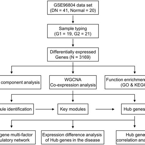 Flow Chart Of The Bioinformatics Analysis Download Scientific Diagram