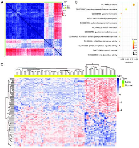Function Analysis Of Recurrence Associated Genes A Gene Expression Download Scientific