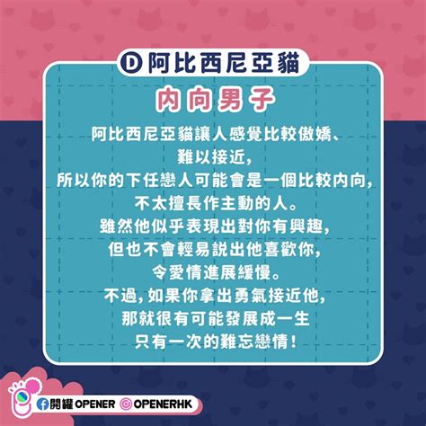 心理測驗「你未來的另一半是哪種人」？貓貓4選1看出下一任戀人類型 心理測驗、心測、貓、愛情、另一半 生活發現 妞新聞 Niusnews