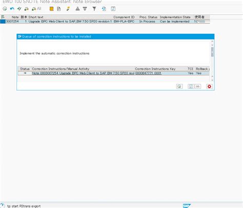 Implement Note Or Tci Sap Ray的漫漫碼路