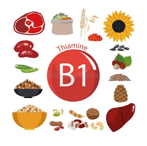 Vitamin B1 Thiamine A Set Of Organic Organic Foods With A High Content