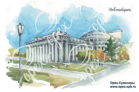 Орех.Сувениры - Новосибирск