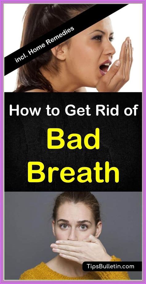 How To Stop Bad Breath With Just 1 Bad Breath Bad Breath Remedy Health