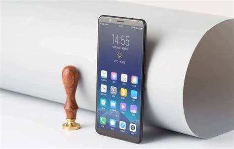 Vivox20王者榮耀周年慶限量版亮相 每日頭條