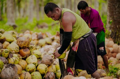 Cracking Coconuts