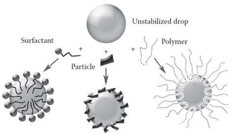 Emulsion Formation And Stabilization By Biomolecules The Leading Role