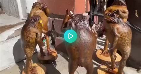 Frog Army Engage Album On Imgur