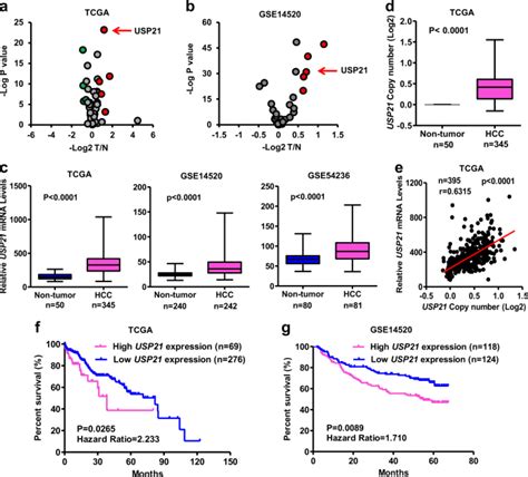 The Deubiquitinase Usp21 Stabilizes Mek2 To Promote Tumor Growth Pmc