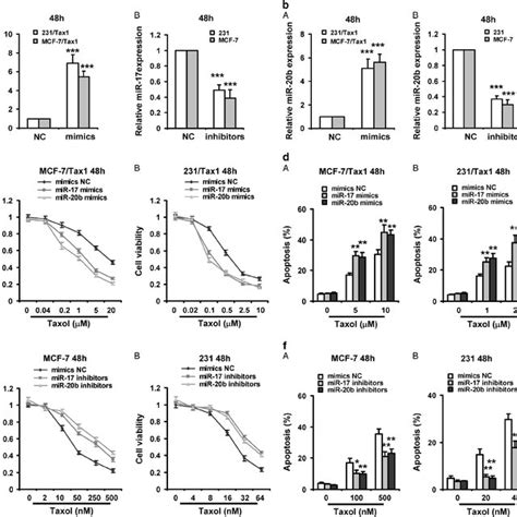 Both Mir 17 And Mir 20b Enhances Taxol Induced Apoptosis In Breast