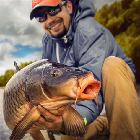 The Biblical Meaning Of Catching Fish In A Dream Bible Wings