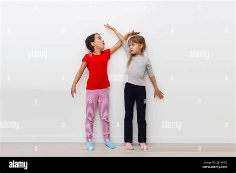 Ruler To Show Scale Hi Res Stock Photography And Images Alamy