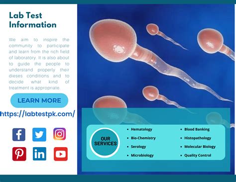 Semen Analysis
