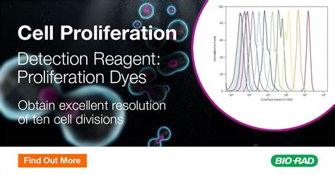 Bio Rad Antibodies On Linkedin Cytotrack Cell Proliferation Assays