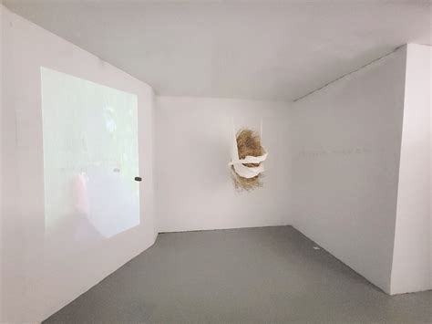 Alejandra M Rivero Saic Graduate Exhibition 2024