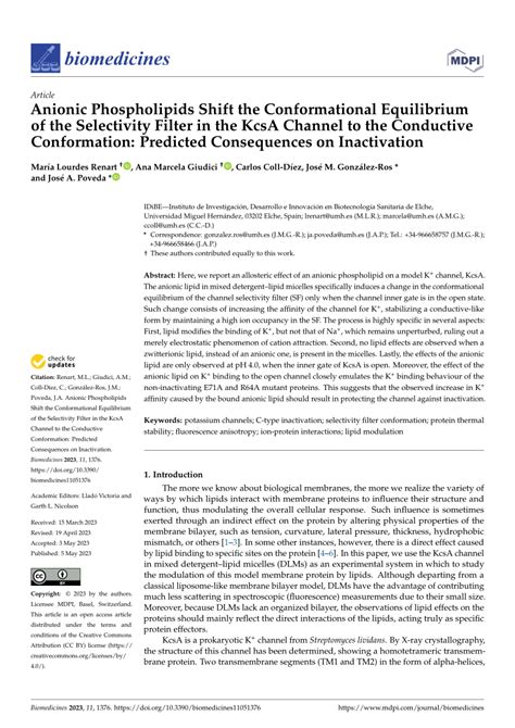 Pdf Anionic Phospholipids Shift The Conformational Equilibrium Of The
