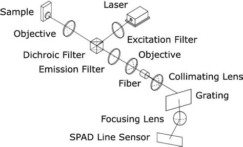 Time Resolved Raman Spectroscopy And Imaging With The Sirona Sensor