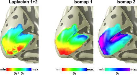 Figure 11 From Connectopic Mapping With Resting State Fmri Semantic Scholar