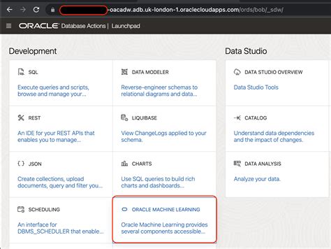 oracle automl ui at a glance