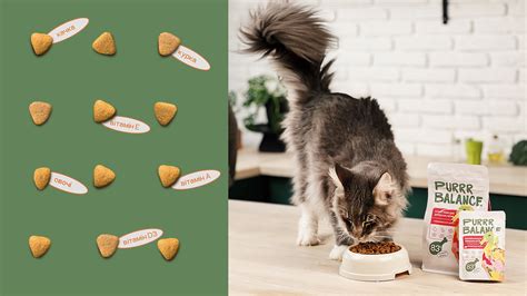 Концепт бренду котячого корму