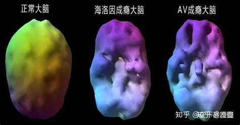 关于由丹麦对色情产业的宽容引发的文化思考 知乎