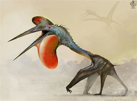 Hatzegopteryx By Vincent Covielloart On Deviantart