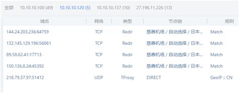 Bug Domain Keyword匹配关键字无效 · Issue 3433 · Vernesongopenclash · Github