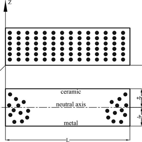 2d Functionally Graded Porous Beam Geometry With Even And Uneven Porosity Download Scientific