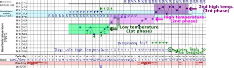 Triphasic Chart As A Sign Of Pregnancy