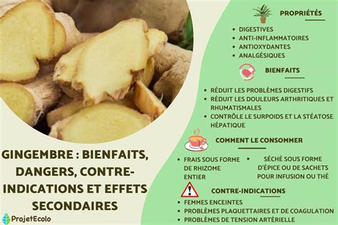 Ginger Benefits Dangers Contraindications And Side Effects Archyde