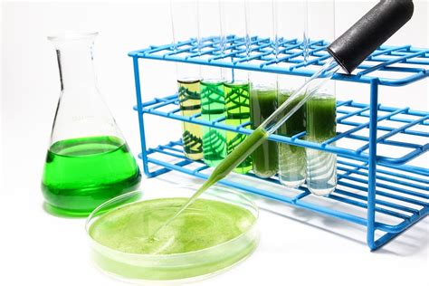 Algae Technology And Algae Viability Analysis With Flowcam