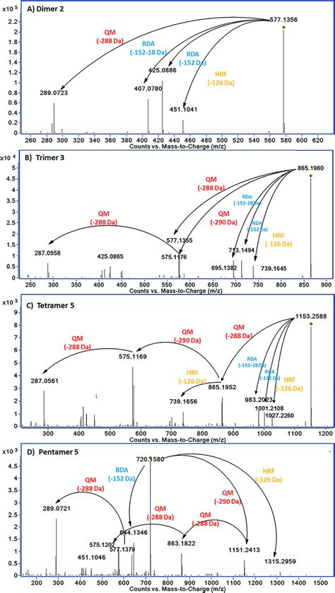 Examples Of Ms Ms Fragments Of Purified Dimeric Trimeric Tetrameric Download Scientific