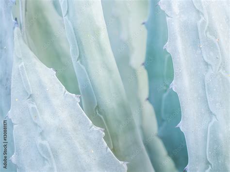 Abstract Nature Background Green Pastel Color Leaves Texture For Stripes Pattern Stock Photo