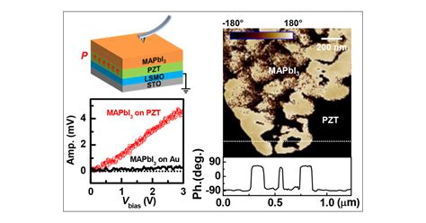 Enhanced Piezoelectric Response In Hybrid Lead Halide Perovskite Thin