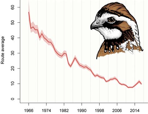 Quantitative Ecology In Practice Estimating Bird Density Using Sparse Count Data And