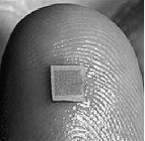 Experimental Microneedle Array Consisting 400 Microneedles Download