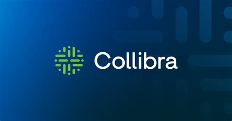 Premium Customer Support Collibra