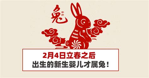 2月4日立春之后出生的新生婴儿才属兔！