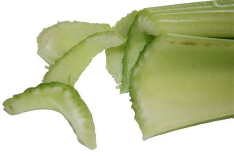 Celeri 이미지 찾아보기 433 스톡 사진 벡터 및 비디오 Adobe Stock