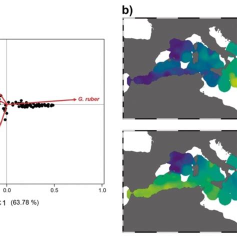 Covariance Based Pca Results A Pca Biplot Scaling 1 With Species Download Scientific
