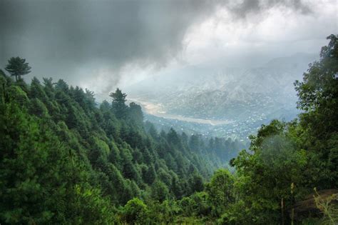 Beauty Of Kashmir About Toli Peer And Banjosa