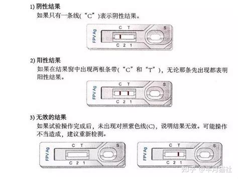 科普——关于猫瘟，你所需要了解的东西 知乎