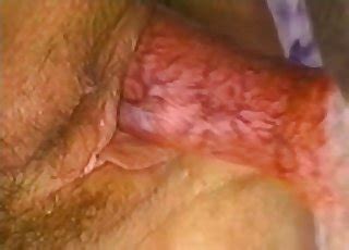 Pipe Of A Rear End Is Looking So Edible Mp