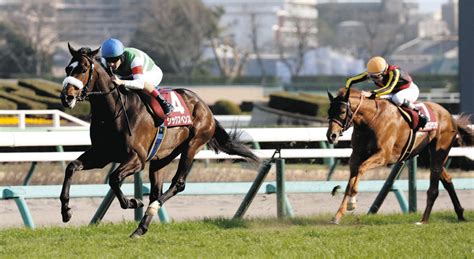 名伯楽・国枝栄調教師、シックスペンスに念願の日本ダービー制覇託す 「一番に近い手応え」熱い思い語る：中日スポーツ・東京中日スポーツ