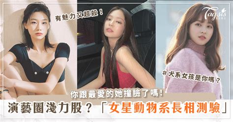 你是犬系還是貓系臉？照著這五個部位測試，來看看你撞臉了哪位韓國女星！ 女生集合 Tagsis